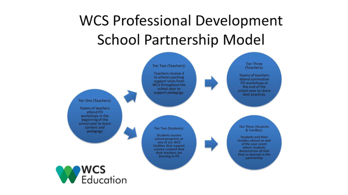 Our Partnership Model - Bronx Zoo