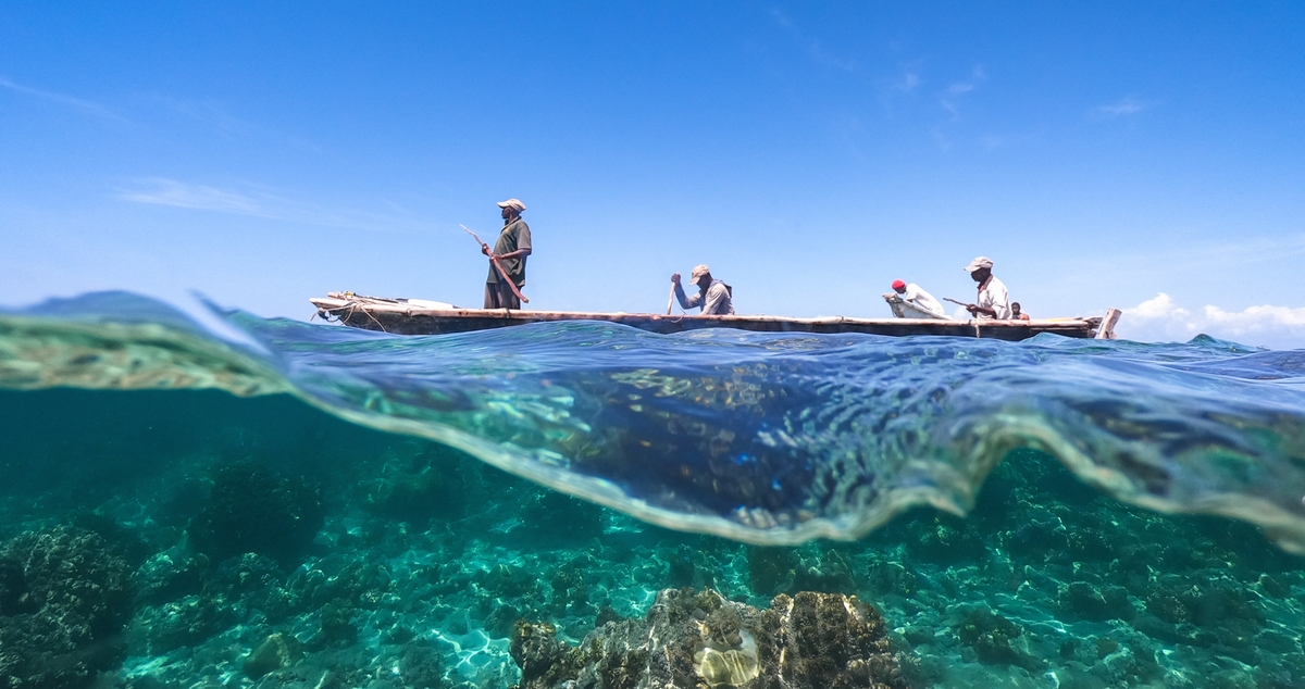 Bloomberg Ocean Initiative - WCS.org