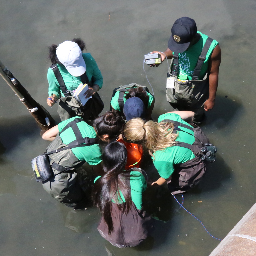 Project TRUE: Teamwork - Bronx Zoo