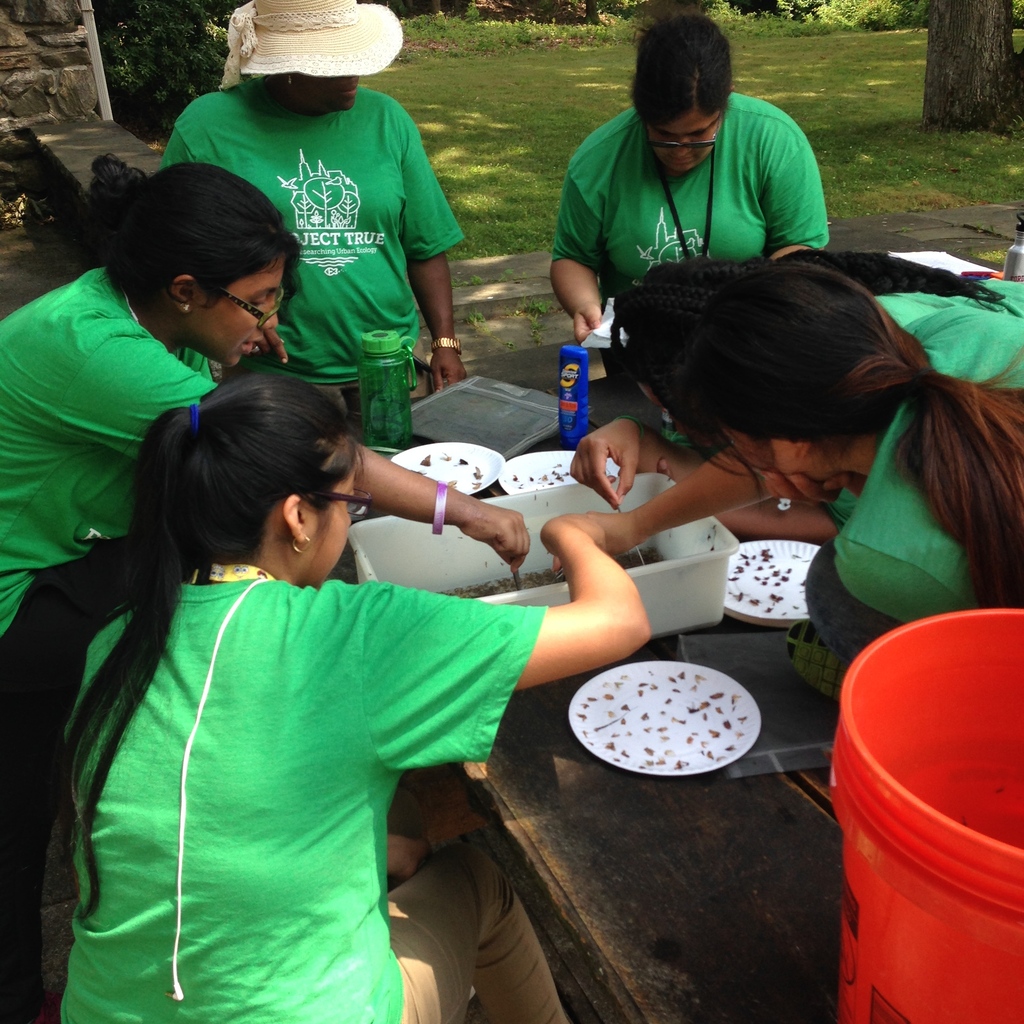 Project TRUE: Teamwork - Bronx Zoo