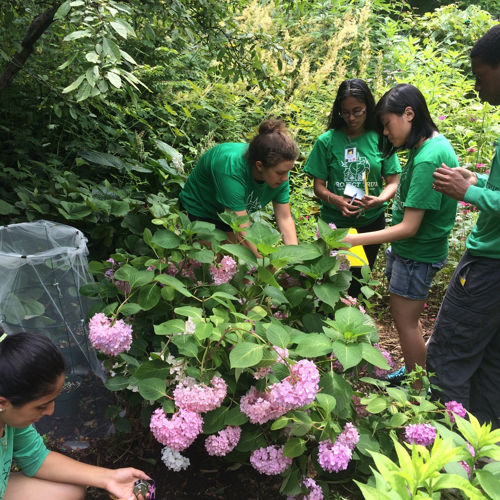 Project TRUE: Teamwork - Bronx Zoo