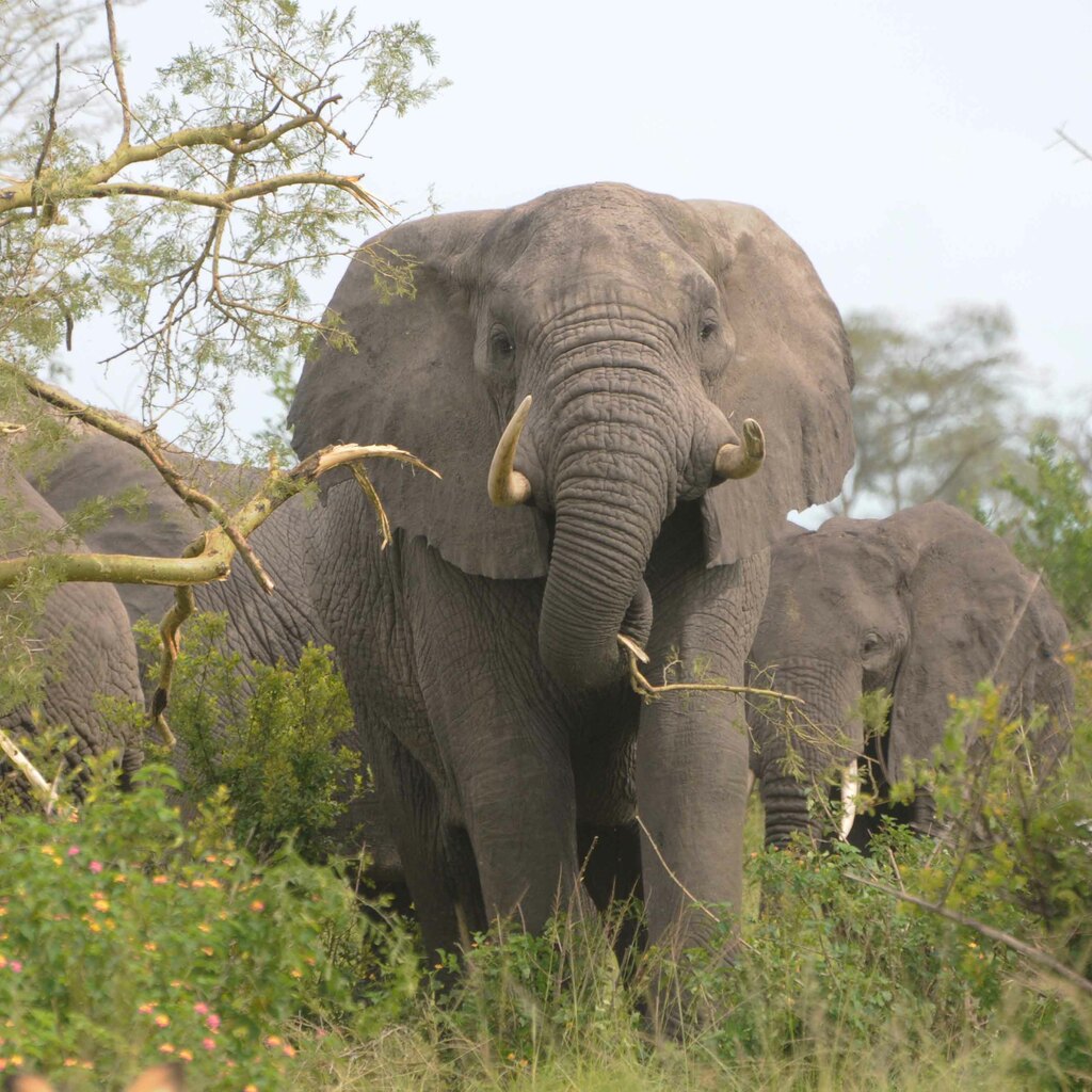Rich With Wildlife - WCS.org