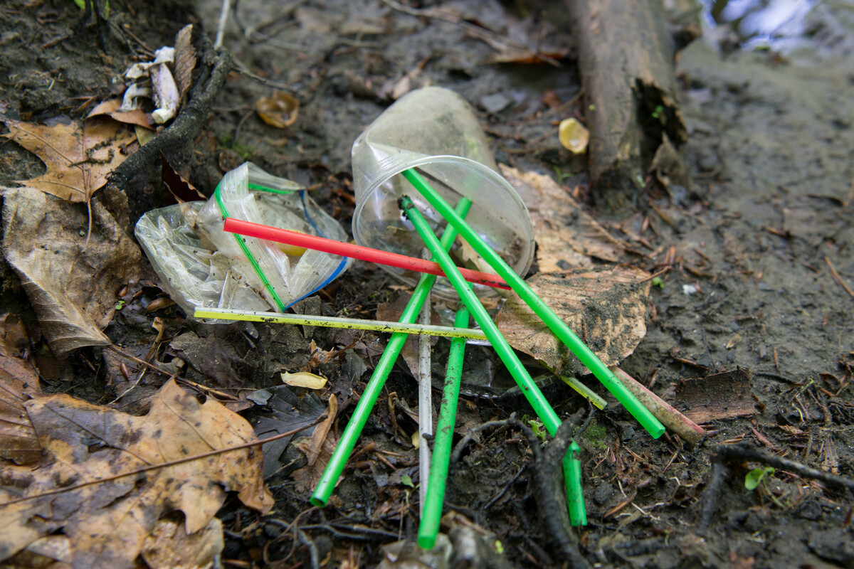 Say Goodbye to Plastic Straws - WCS.org