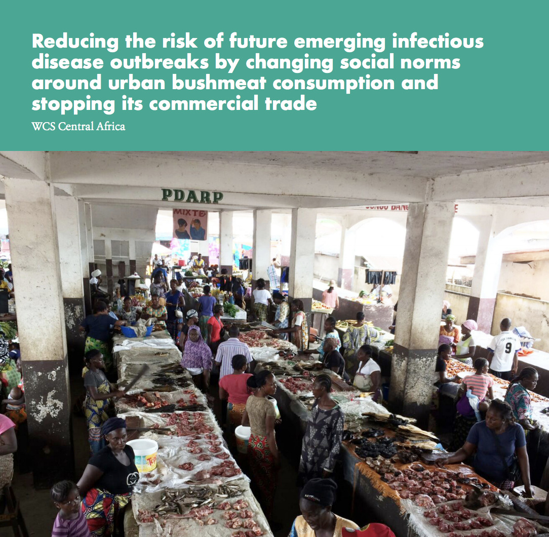 WCS Issues Report on Urban Bushmeat Consumption and Infectious Disease ...