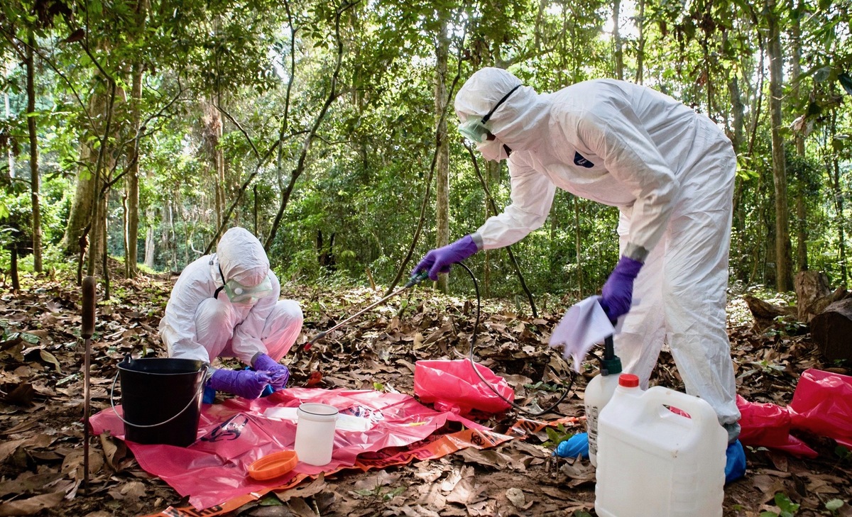 One Planet, One Health, One Future - WCS.org