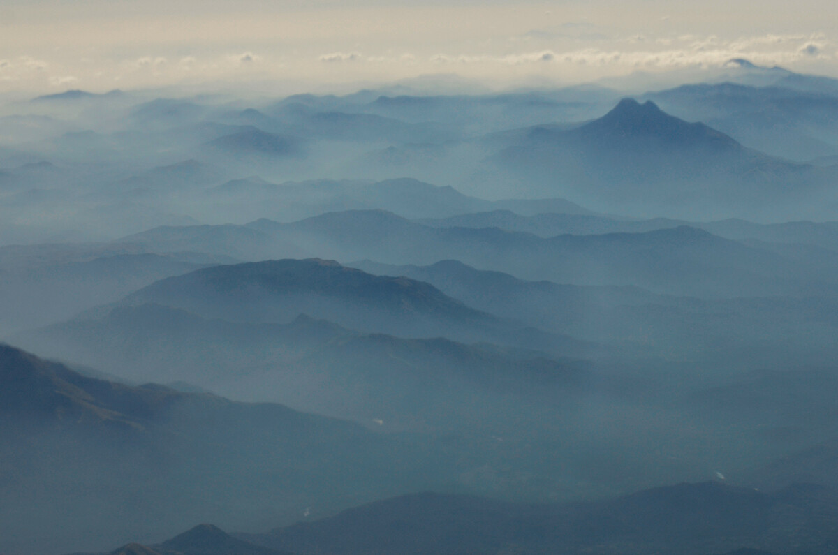 Going, Going ... - WCS.org