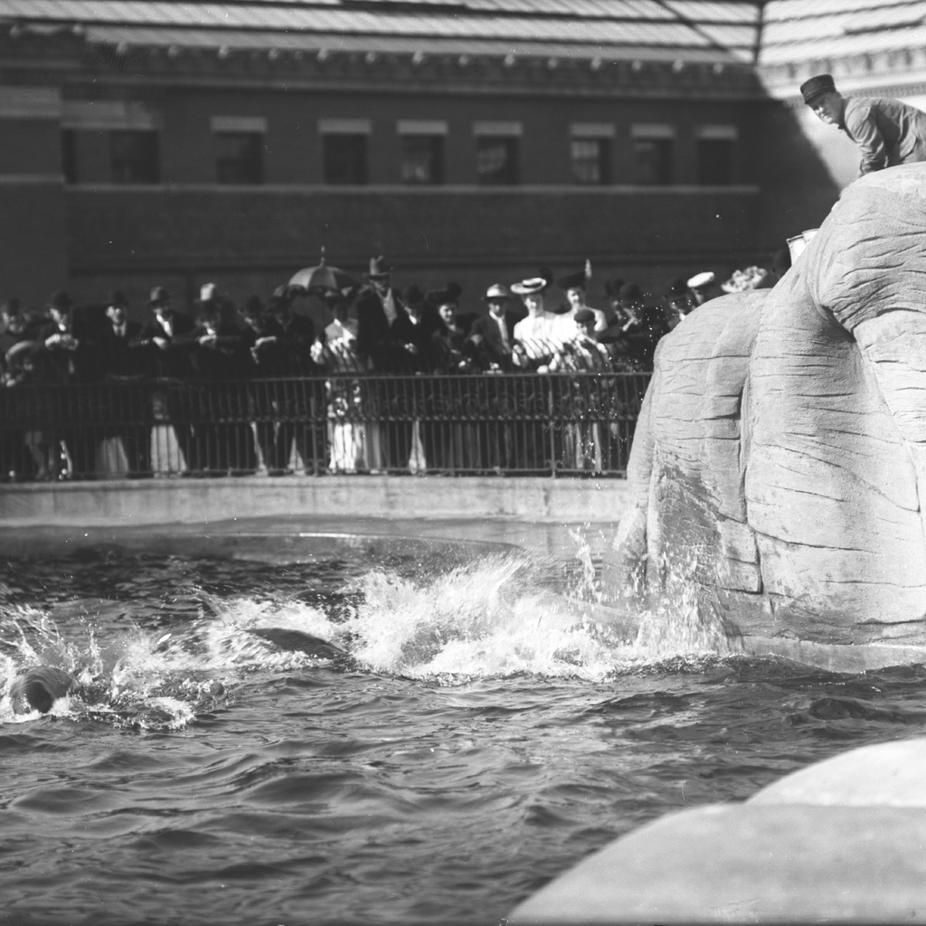 Historical Bronx Zoo - Bronx Zoo