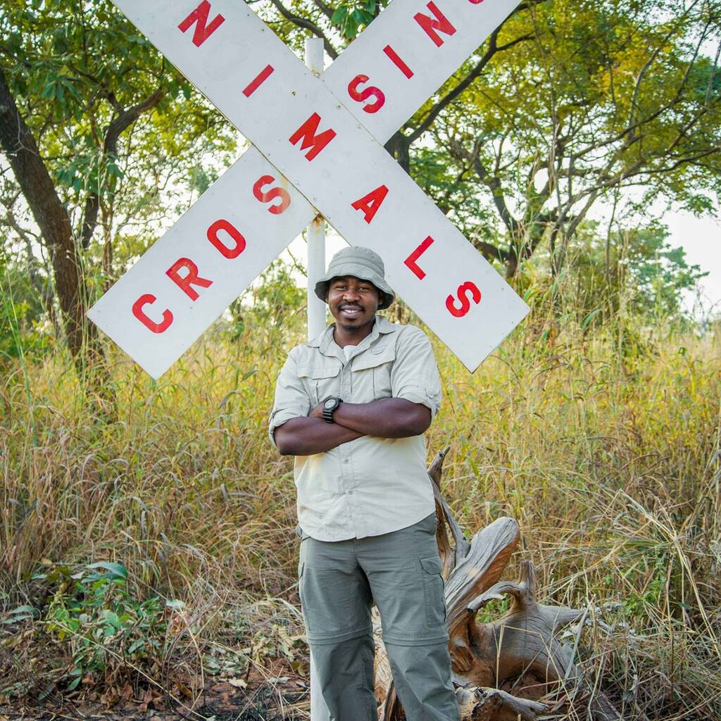 Not a Normal Job - WCS.org