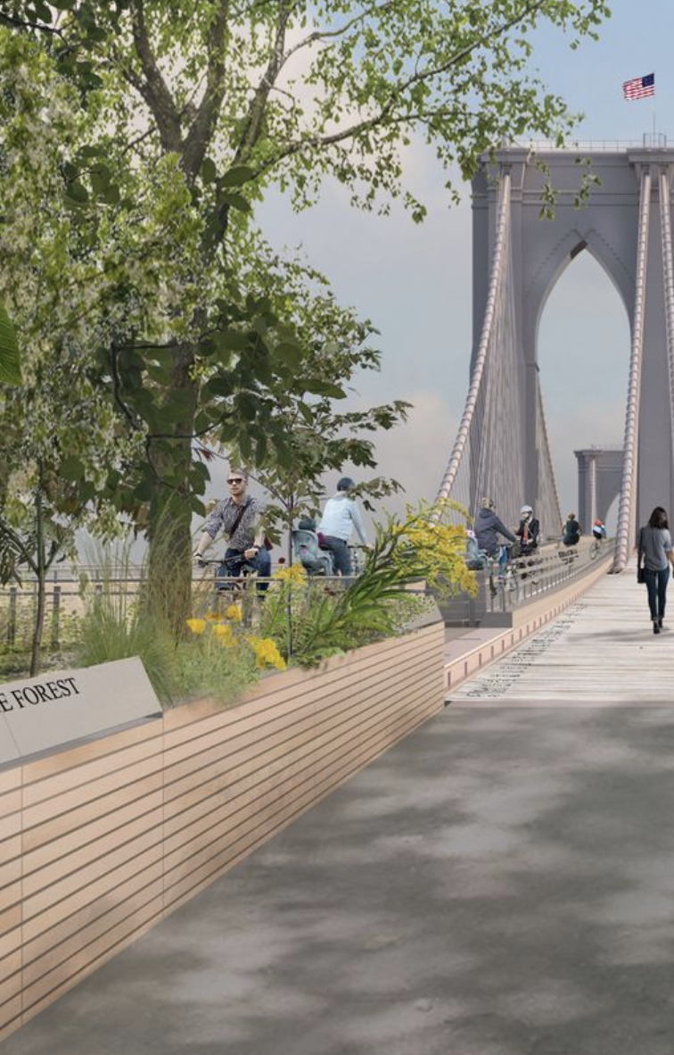 Brooklyn Bridge Forest - WCS.org