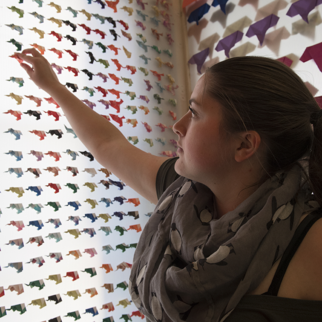 Elephant Origami Challenge - WCS.org