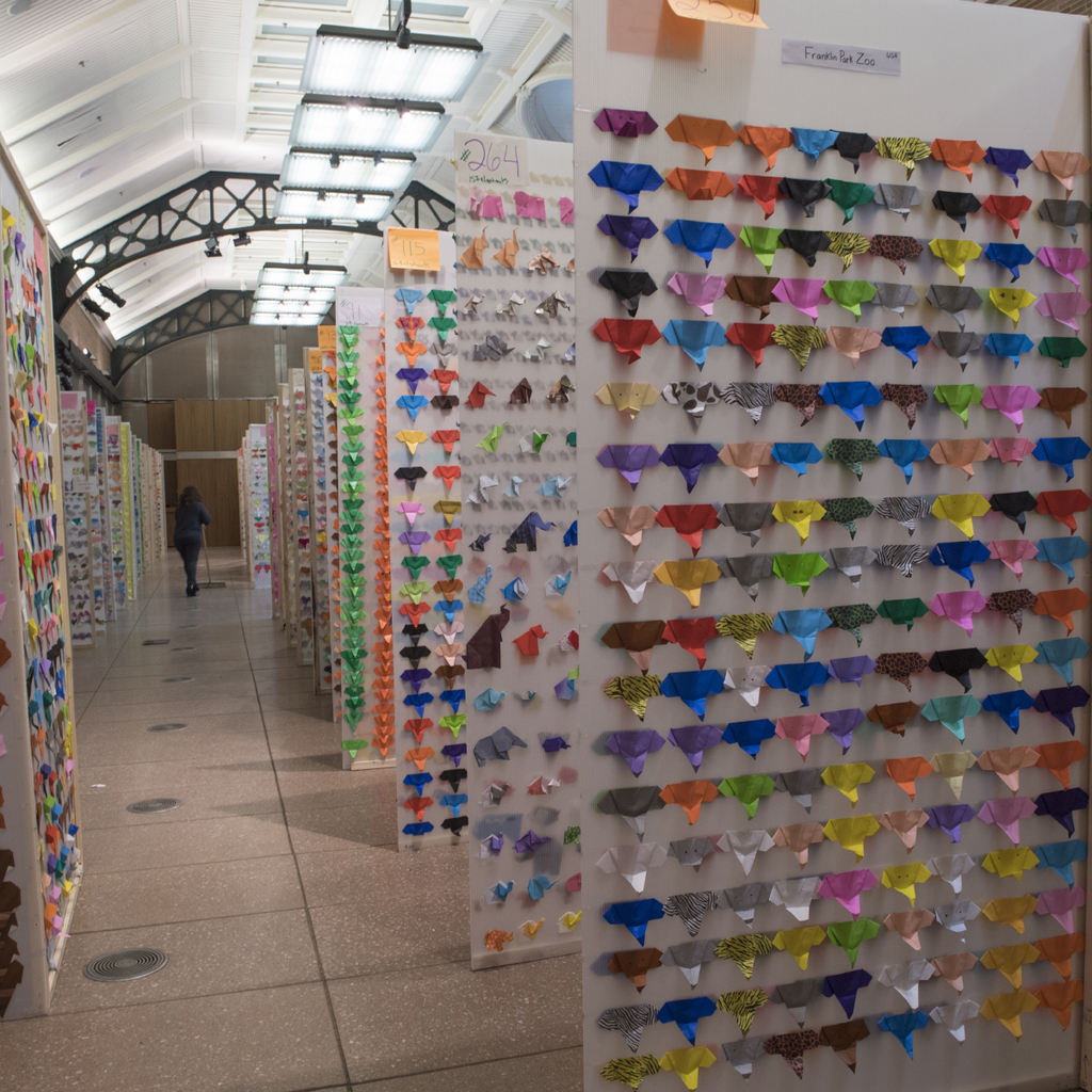 Elephant Origami Challenge - WCS.org
