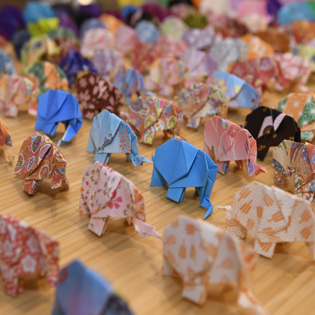 Elephant Origami Challenge - WCS.org