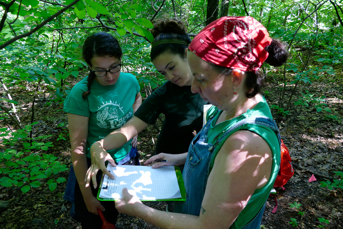 Advanced Inquiry Program - Bronx Zoo