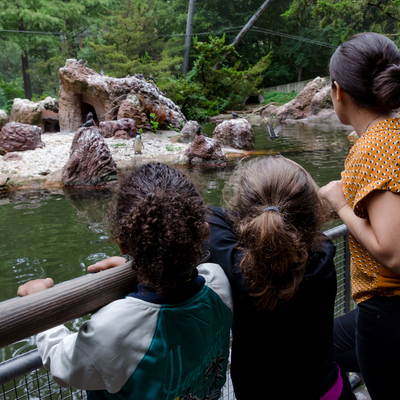 Saving Wildlife and Wild Places - Bronx Zoo