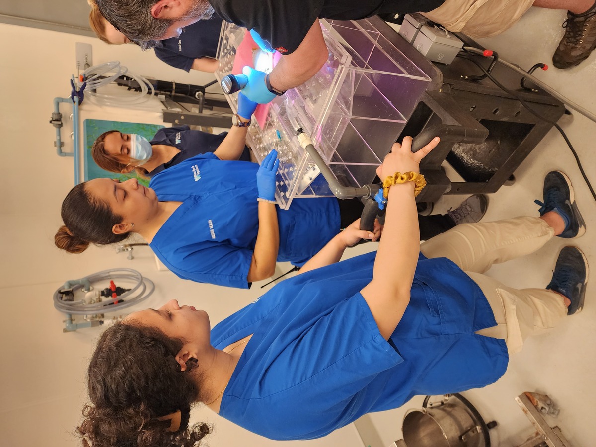 Animal Department Volunteers - New York Aquarium