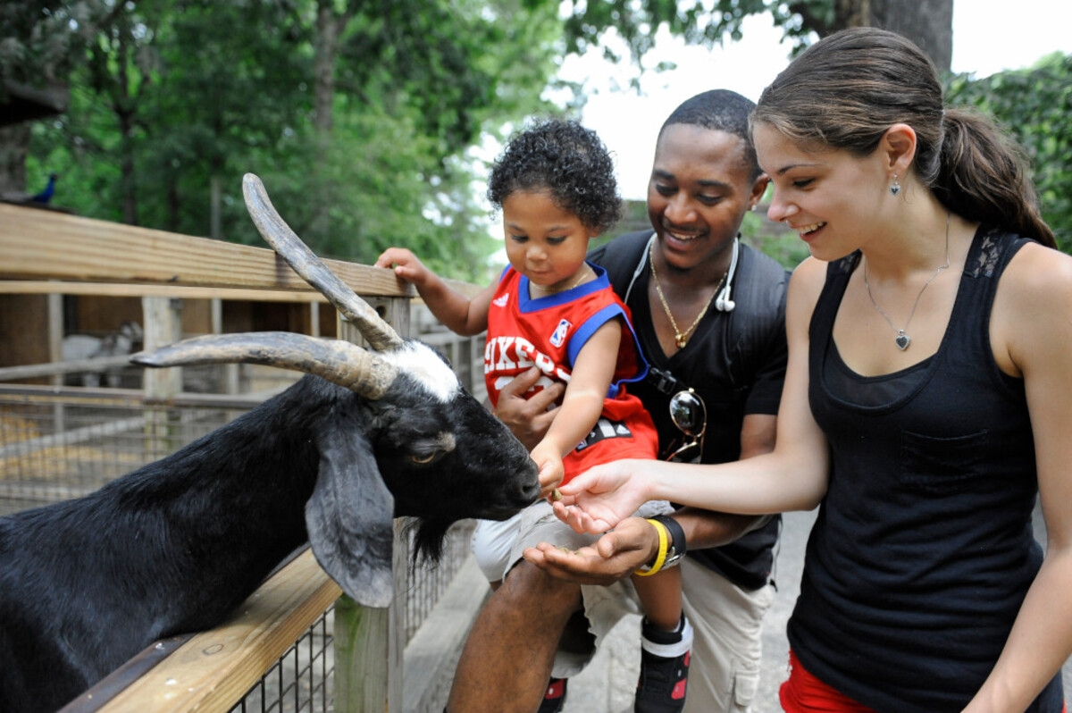 Central Park Zoo Family Programs - Central Park Zoo