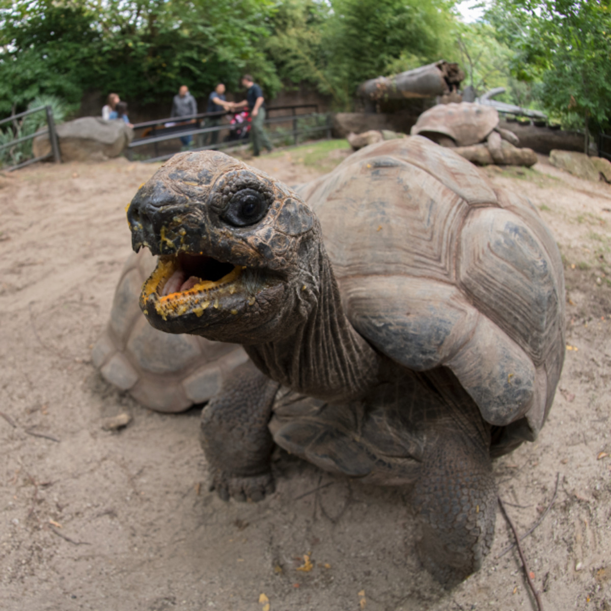 Bronx Zoo Children's Programs - Bronx Zoo