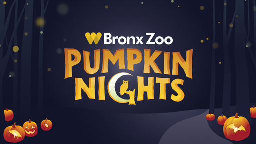 Events - Bronx Zoo