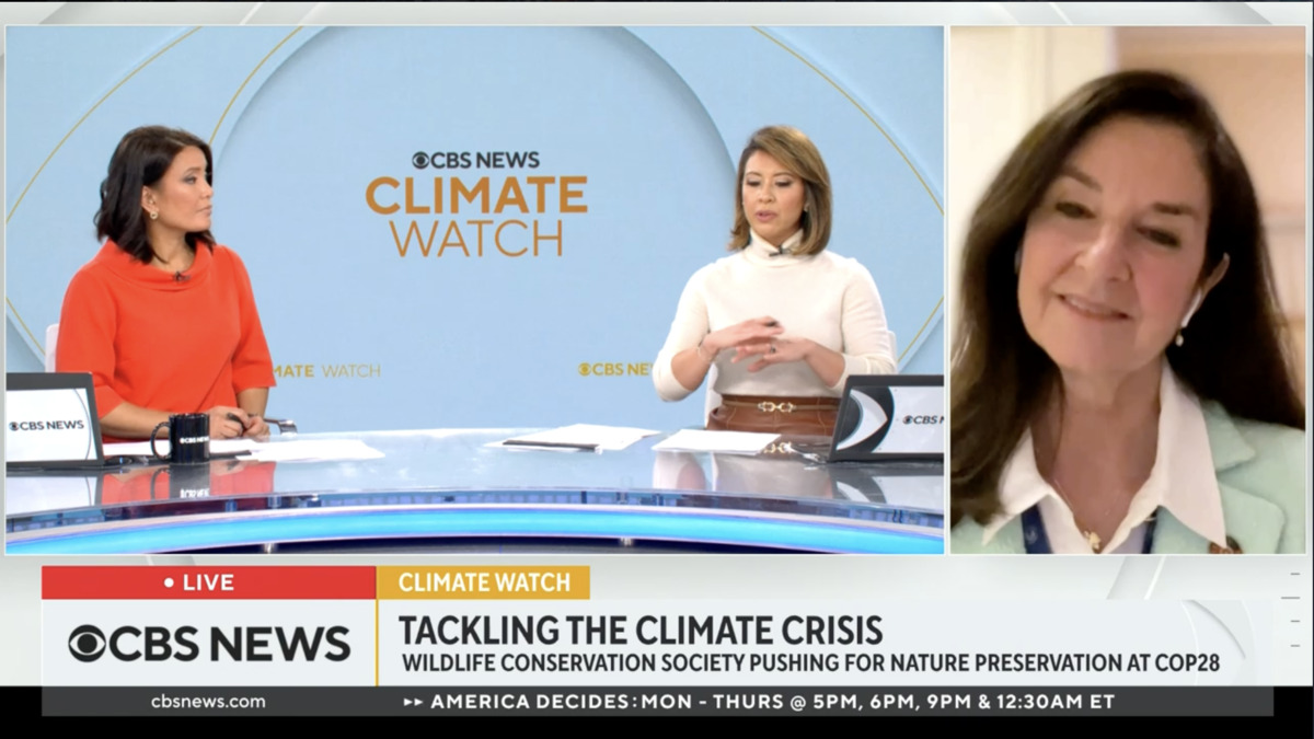 WCS at the UN Climate Change Conference - WCS.org