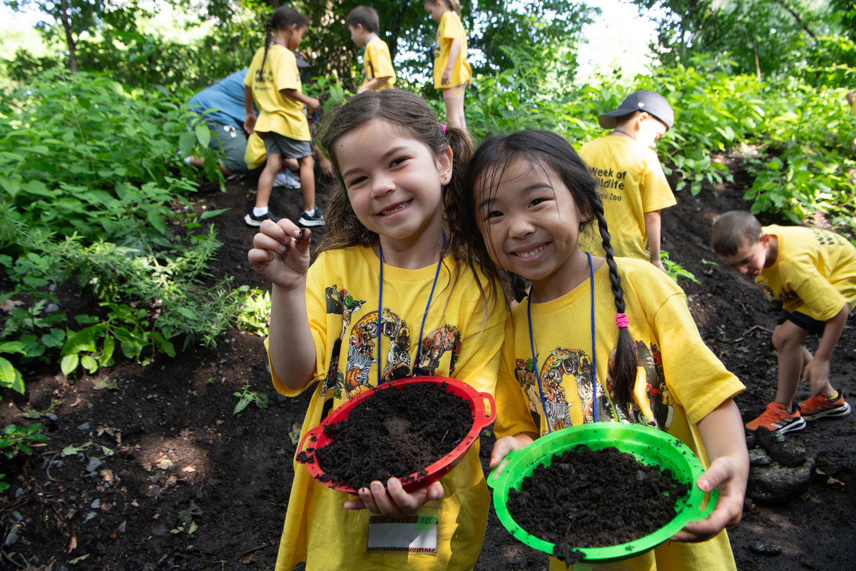 Summer Camp - Bronx Zoo