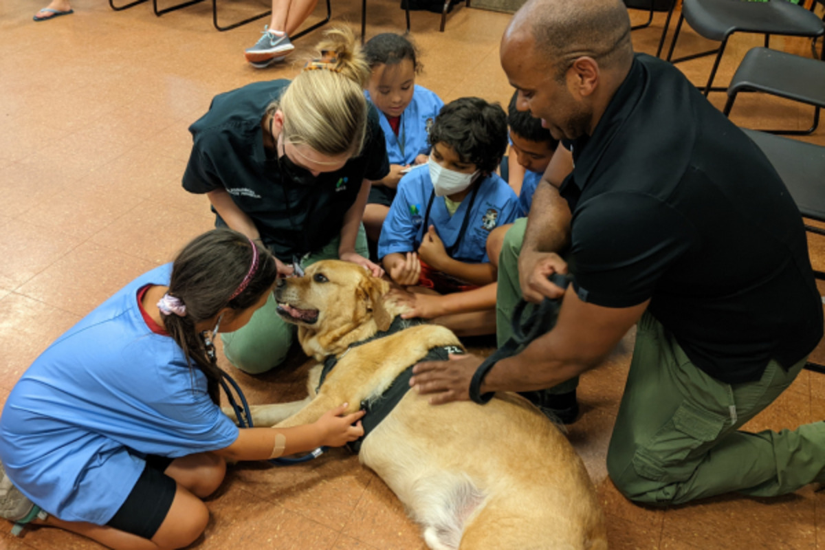 Summer Camp - Bronx Zoo