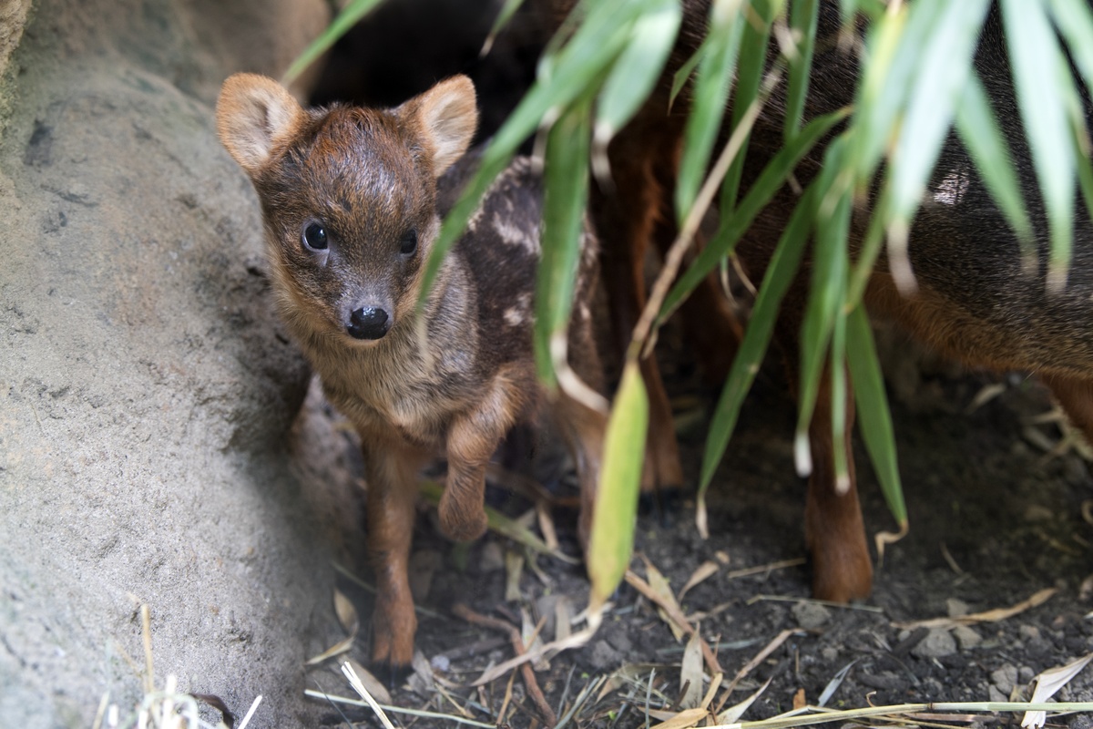 Our 17 Favorite Wildlife Images of 2023 - WCS.org