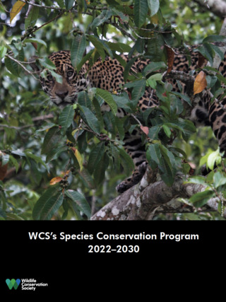 WCS Publications - WCS.org