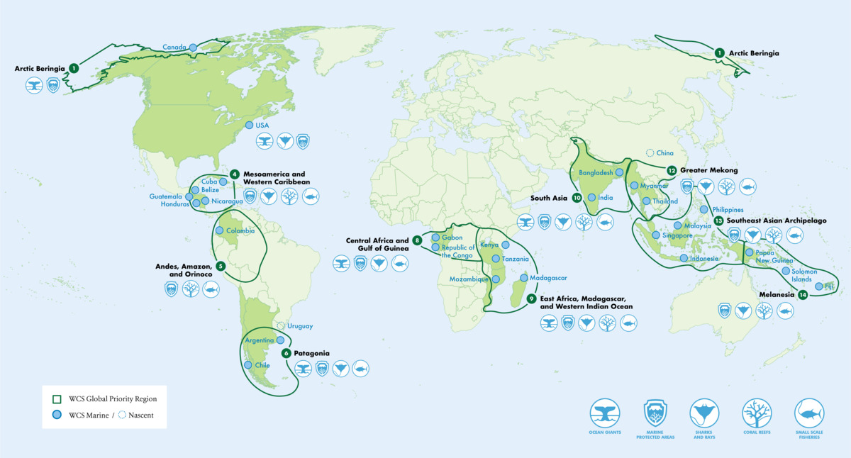 Oceans - WCS.org