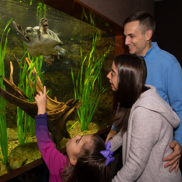 Children & Families - Bronx Zoo