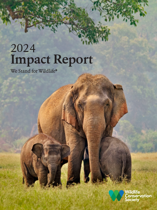 WCS Annual Reports - WCS.org