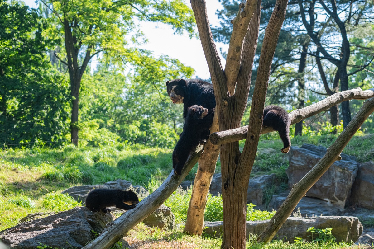 Top 10 Moments in Photos 2024 - Bronx Zoo