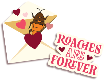 Bronx Zoo Offers New Yorkers the Chance to Name a Cockroach after Their ...