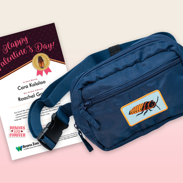 Name a Roach - Bronx Zoo